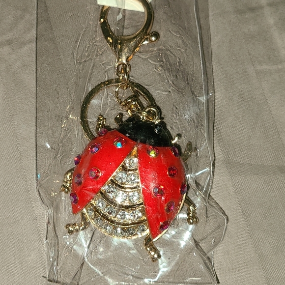 Accessories | Ladybug Clasp Keychain | Poshmark